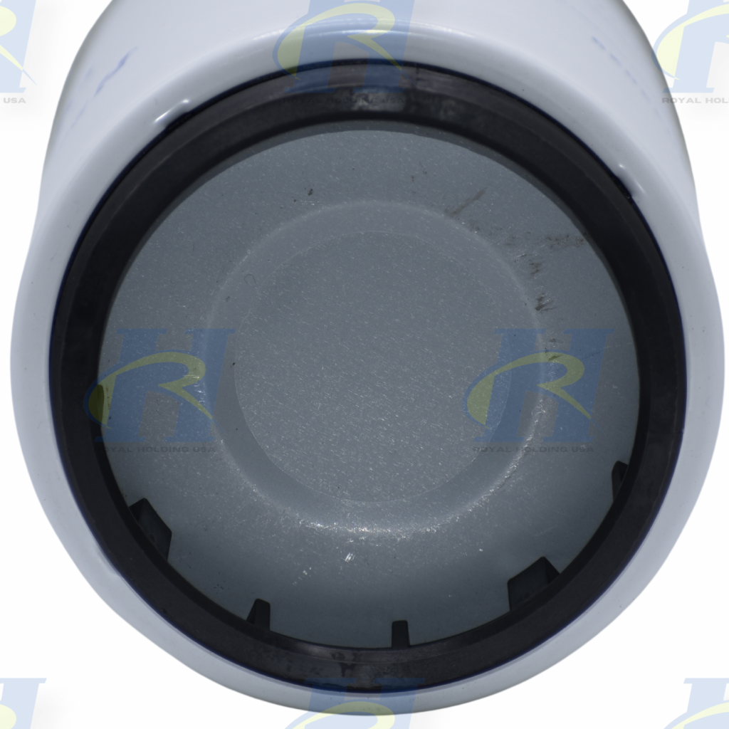 RH32029 - Royal Holding USA Plus